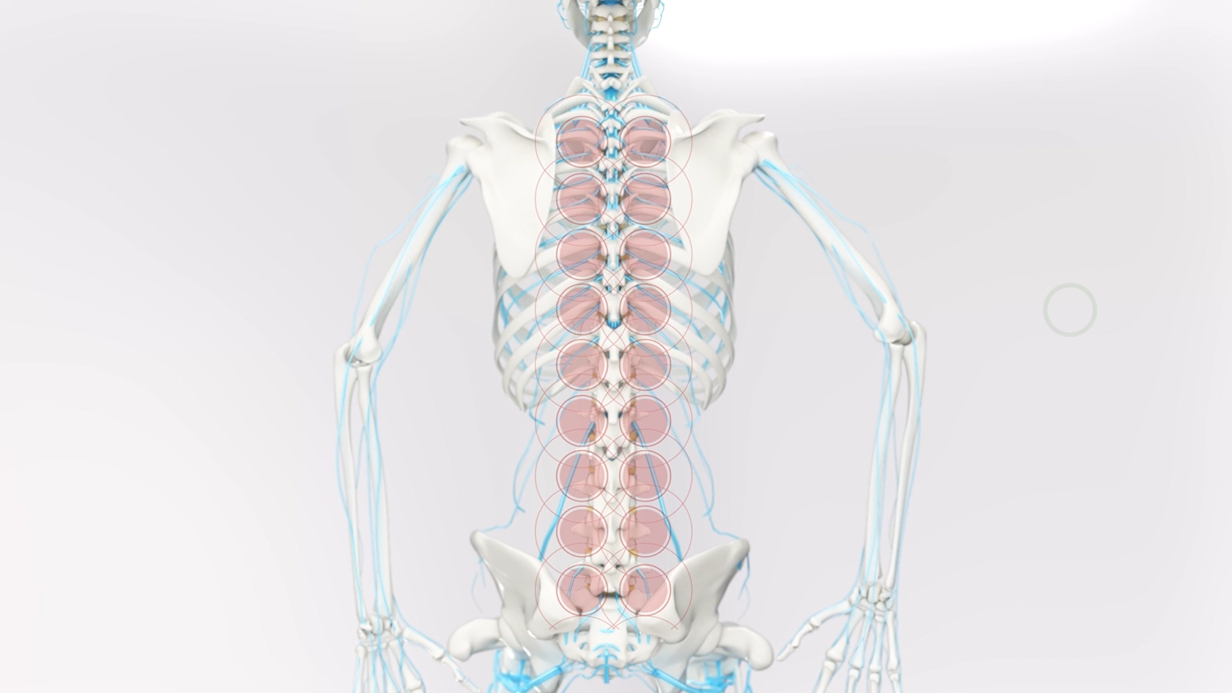 SPINEFITTER by SISSEL® | SPINEFITTER by SISSEL | Werde aktiv gegen ...