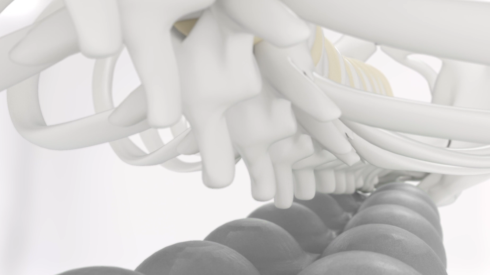 SPINEFITTER by SISSEL® | Spin Fitter di Sissel | Il tuo rimedio per ...