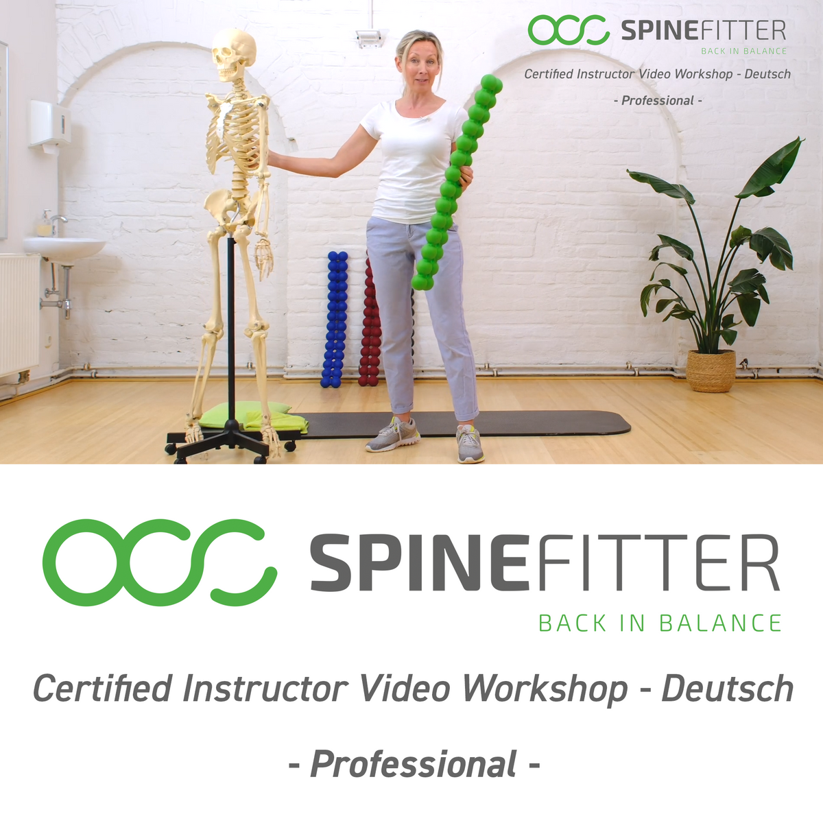 SPINEFITTER by SISSEL® Certified Instructor Video Workshop - Professio ...